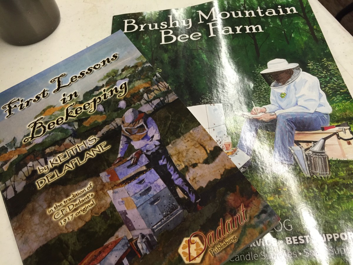 Buzzing with Excitement! – wildwoodhomestead